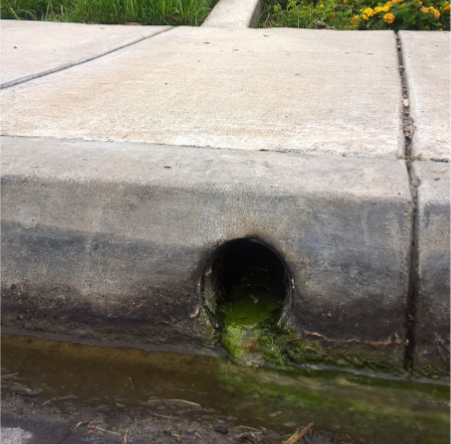 Yard Drains – Flora Vista